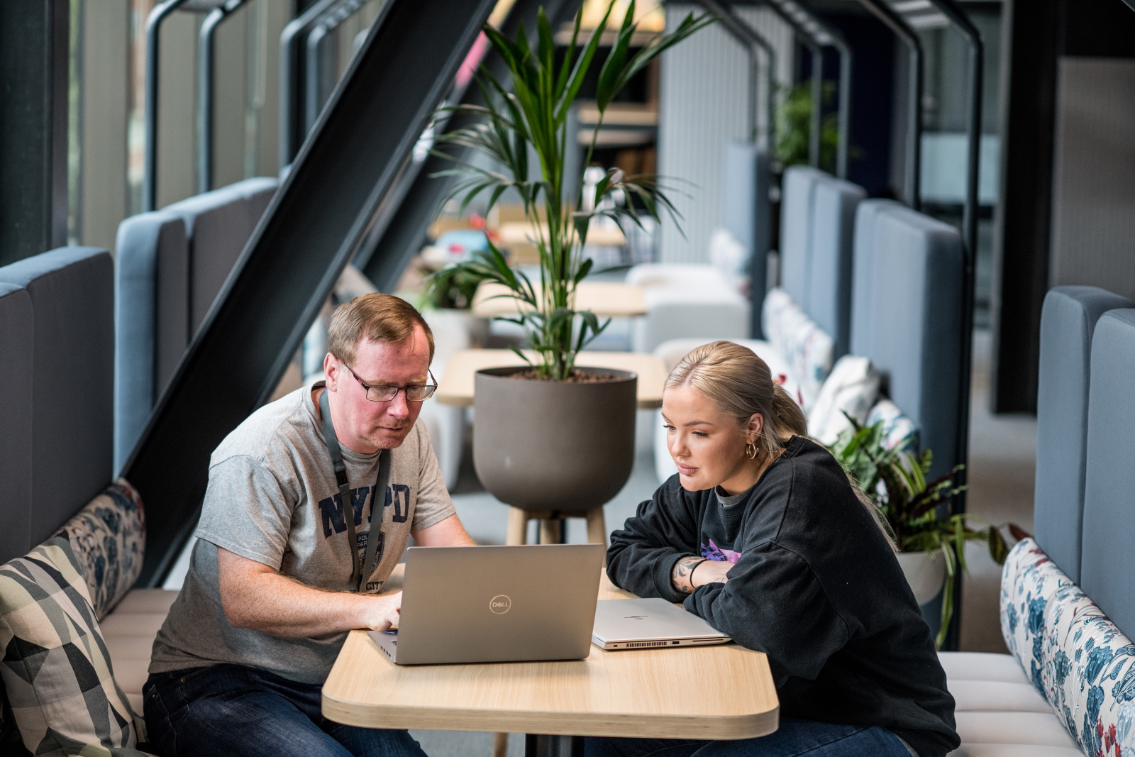 Search Jobs - Find your perfect role | Flutter Group Careers